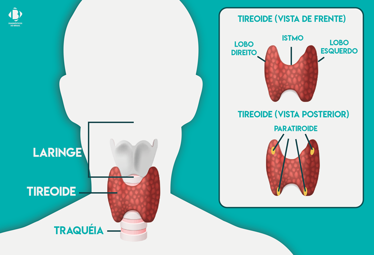 Notícias - Biocenter - Laboratório de Análises Clínicas